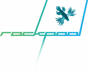 Rockpool | 用于开发基于脉冲神经网络的信号处理开源Python软件包 | SynSense 时识科技